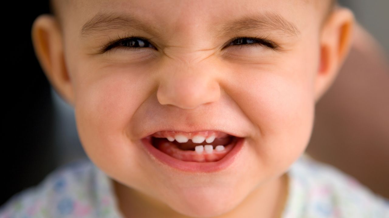 Anatomie Dentaire : Structure, Fonction et Nomenclature des dents